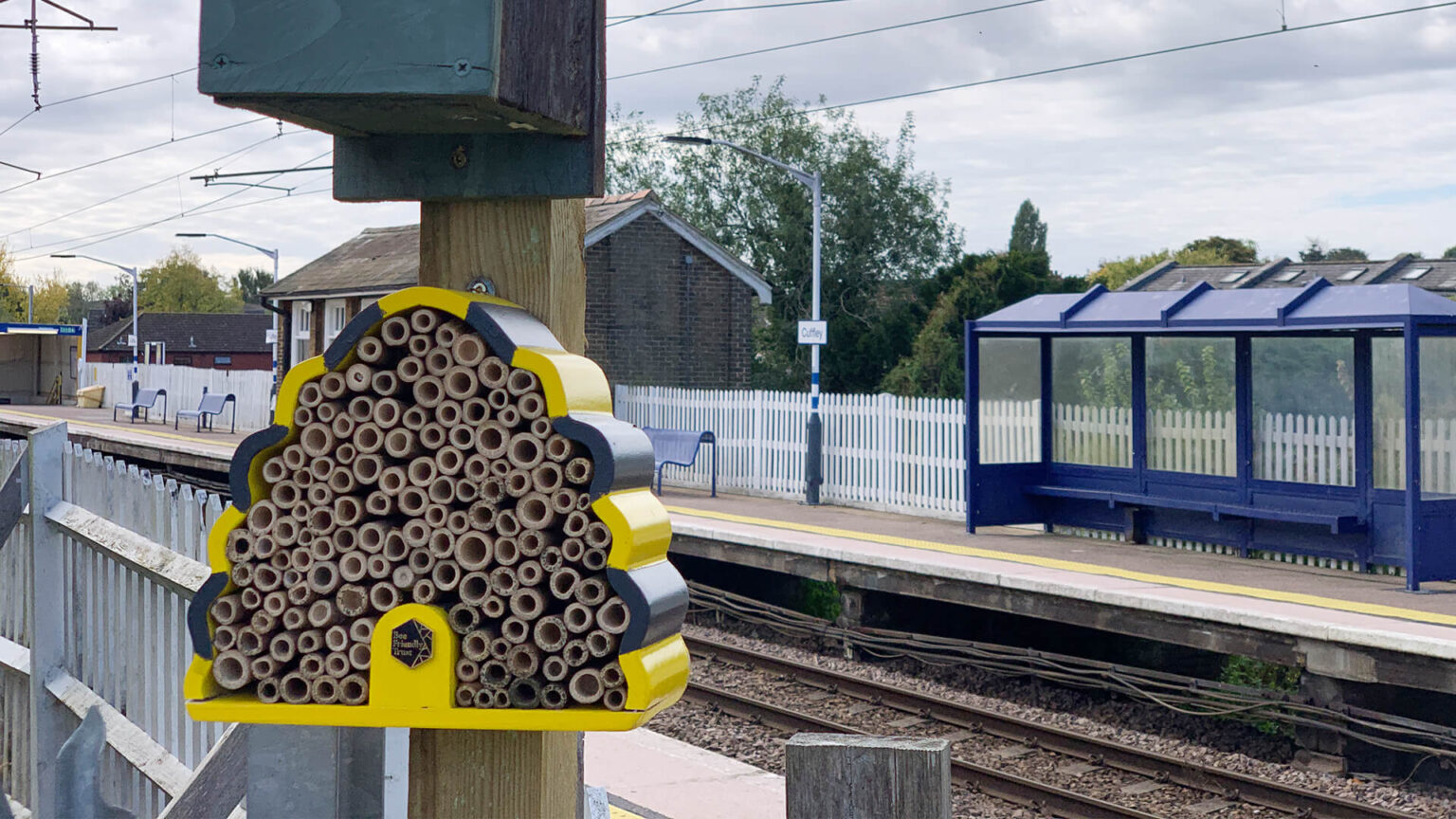 Alessandra Grove: Custom Build Your Dream Home in Hertfordshire